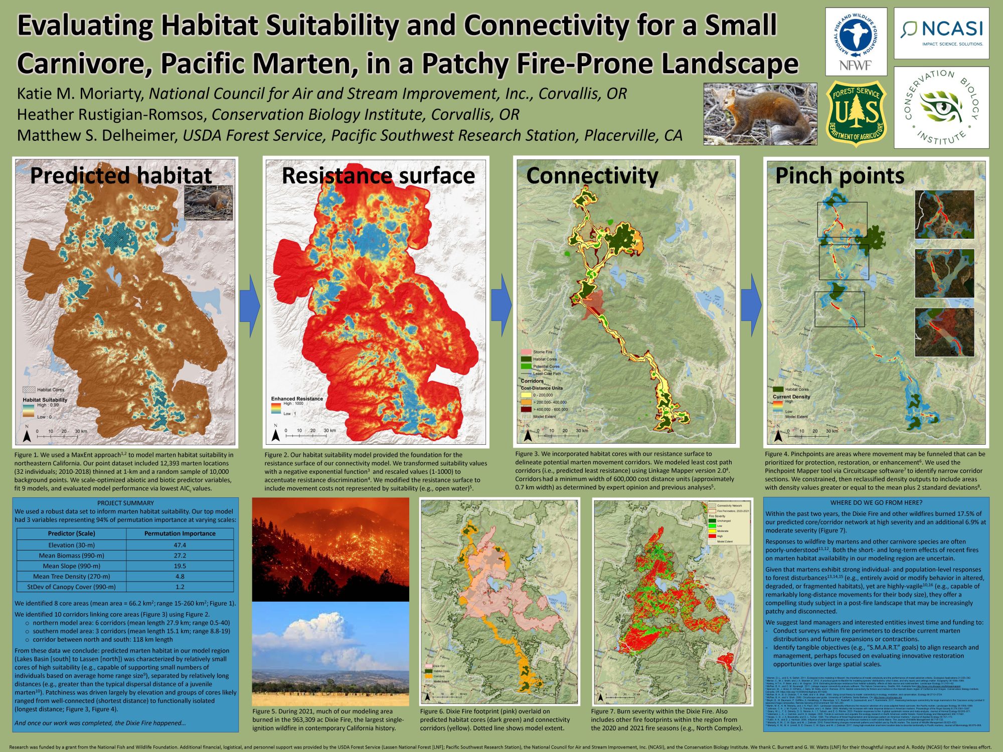 Developing a Pacific marten habitat connectivity model for Lassen ...
