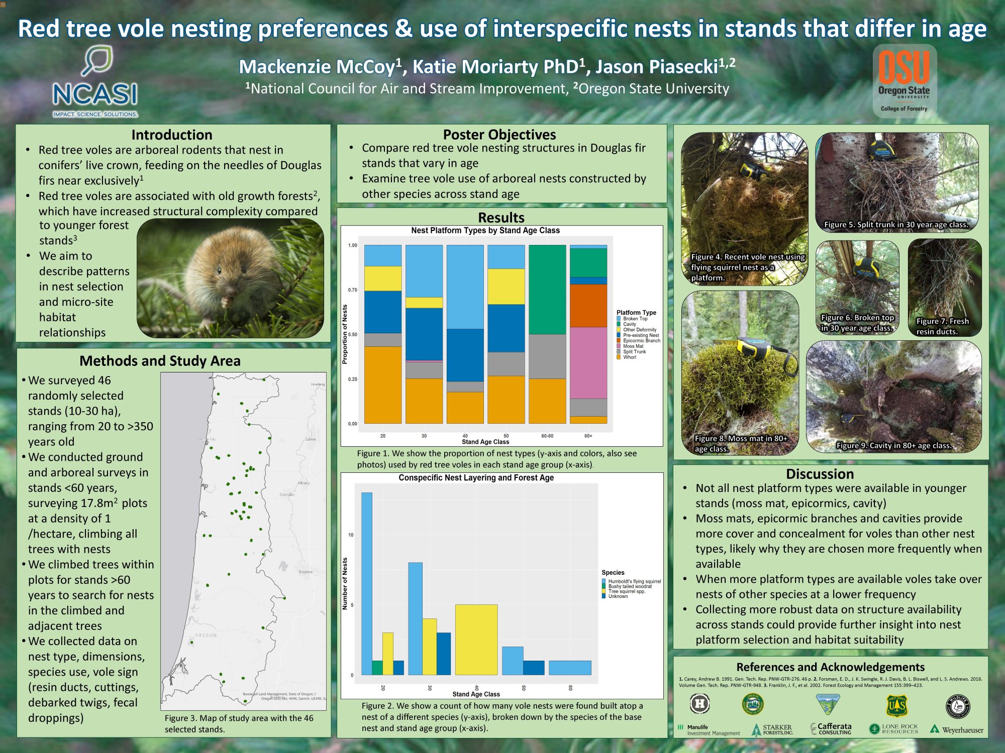 Red Tree Voles in Working Forests | NCASI Foundation