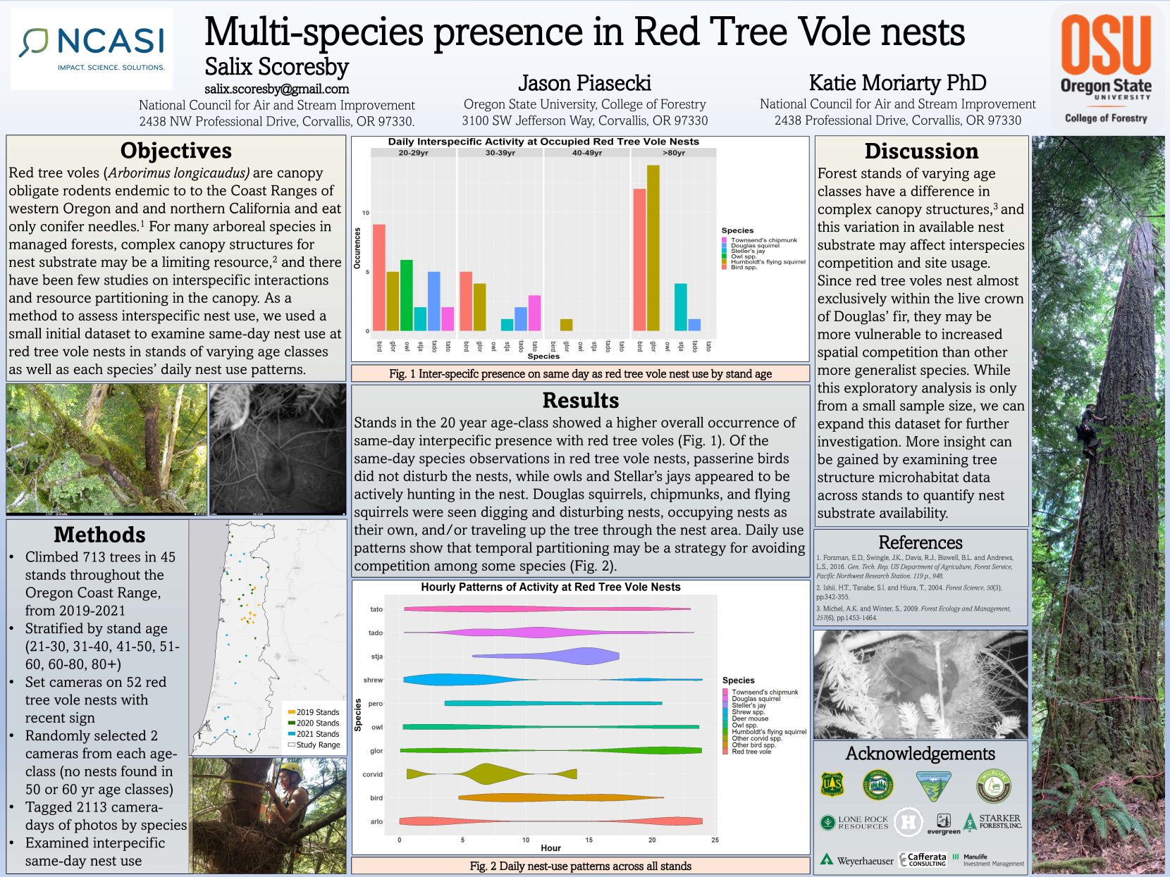 Red Tree Voles in Working Forests | NCASI Foundation